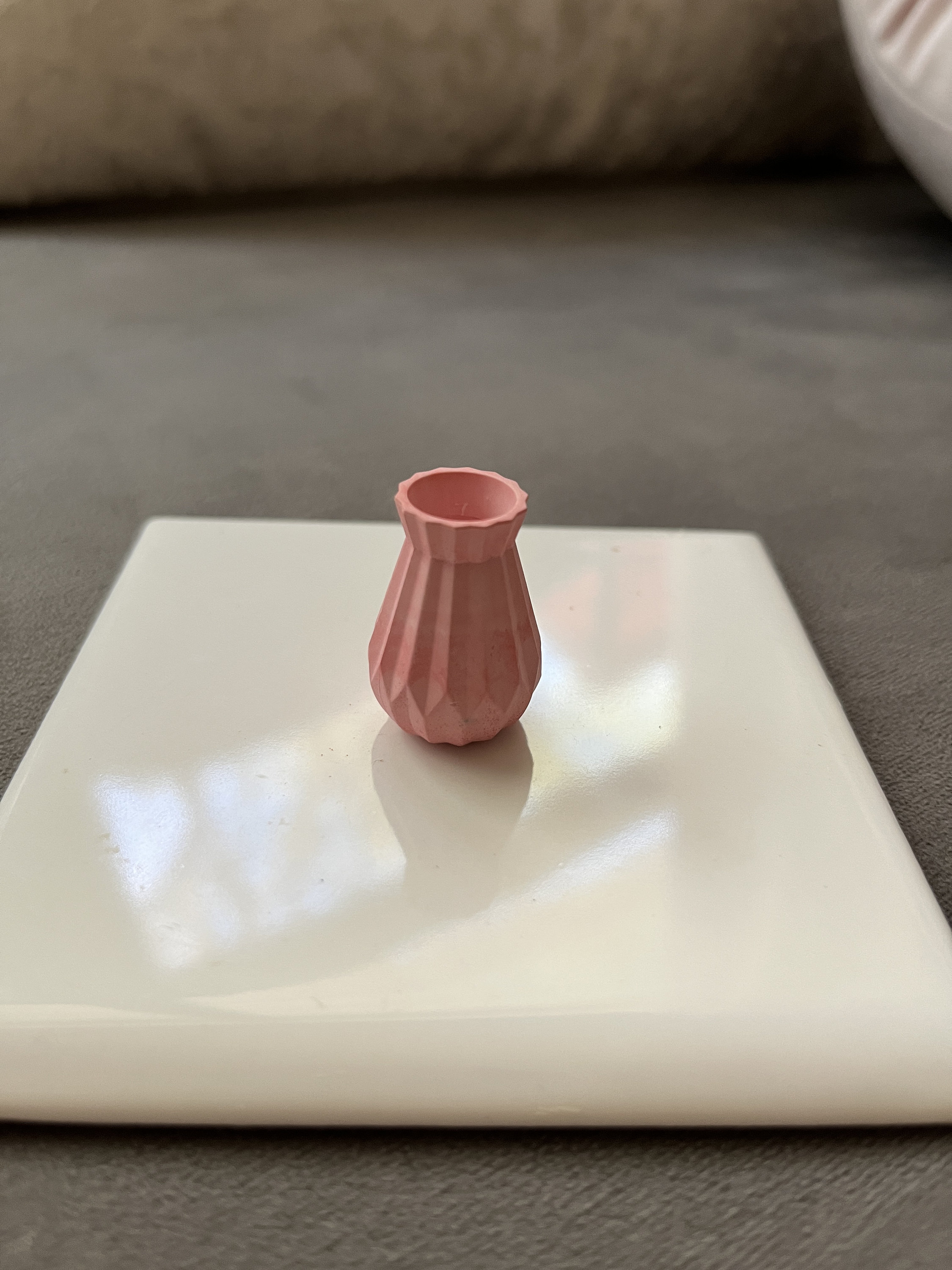 Mini Whisker Vase Cat Dog Cute Keepsake Trendy Unique Gift - Etsy