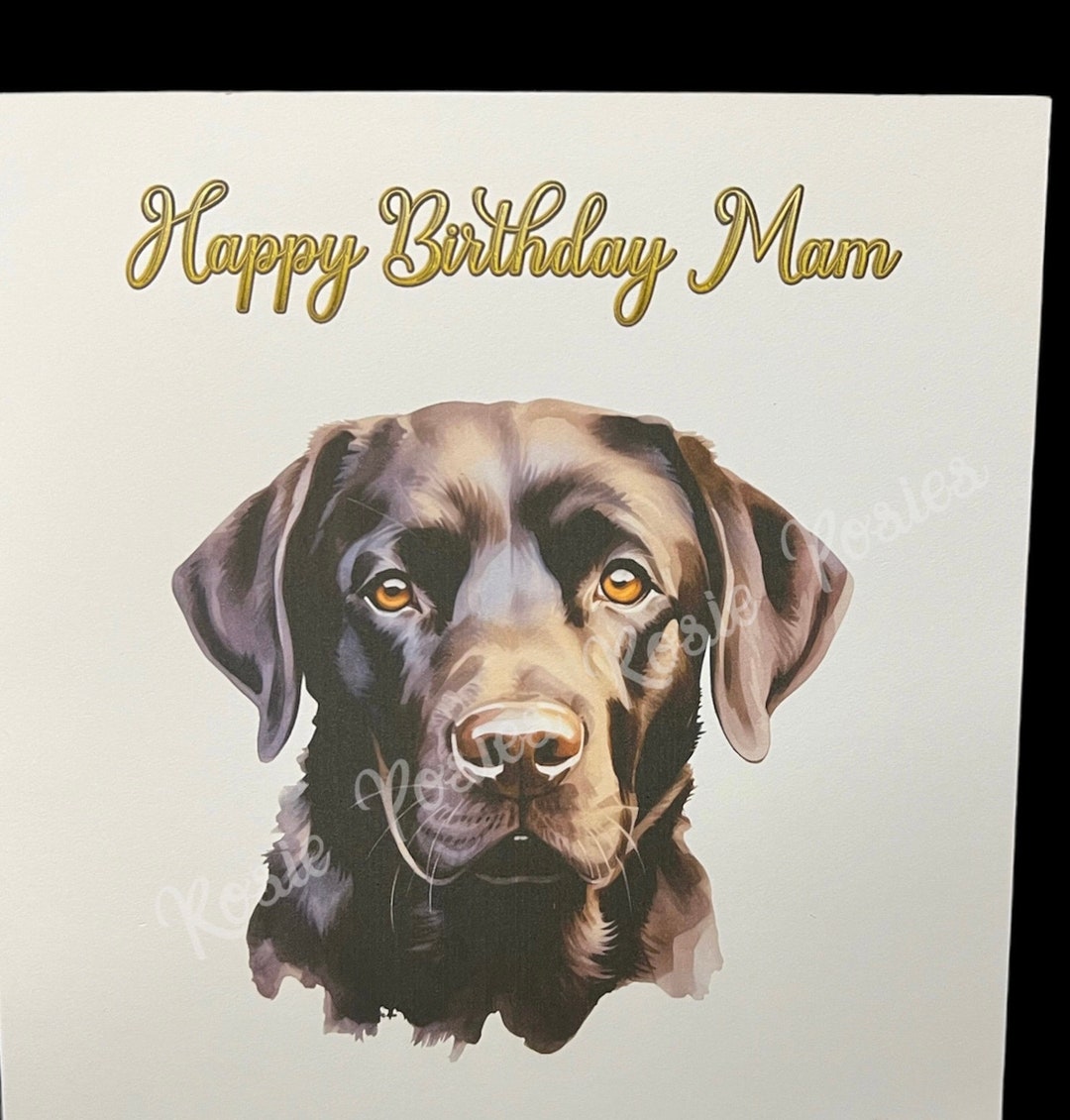 Labrador Birthday Card, Personalised Card - Etsy