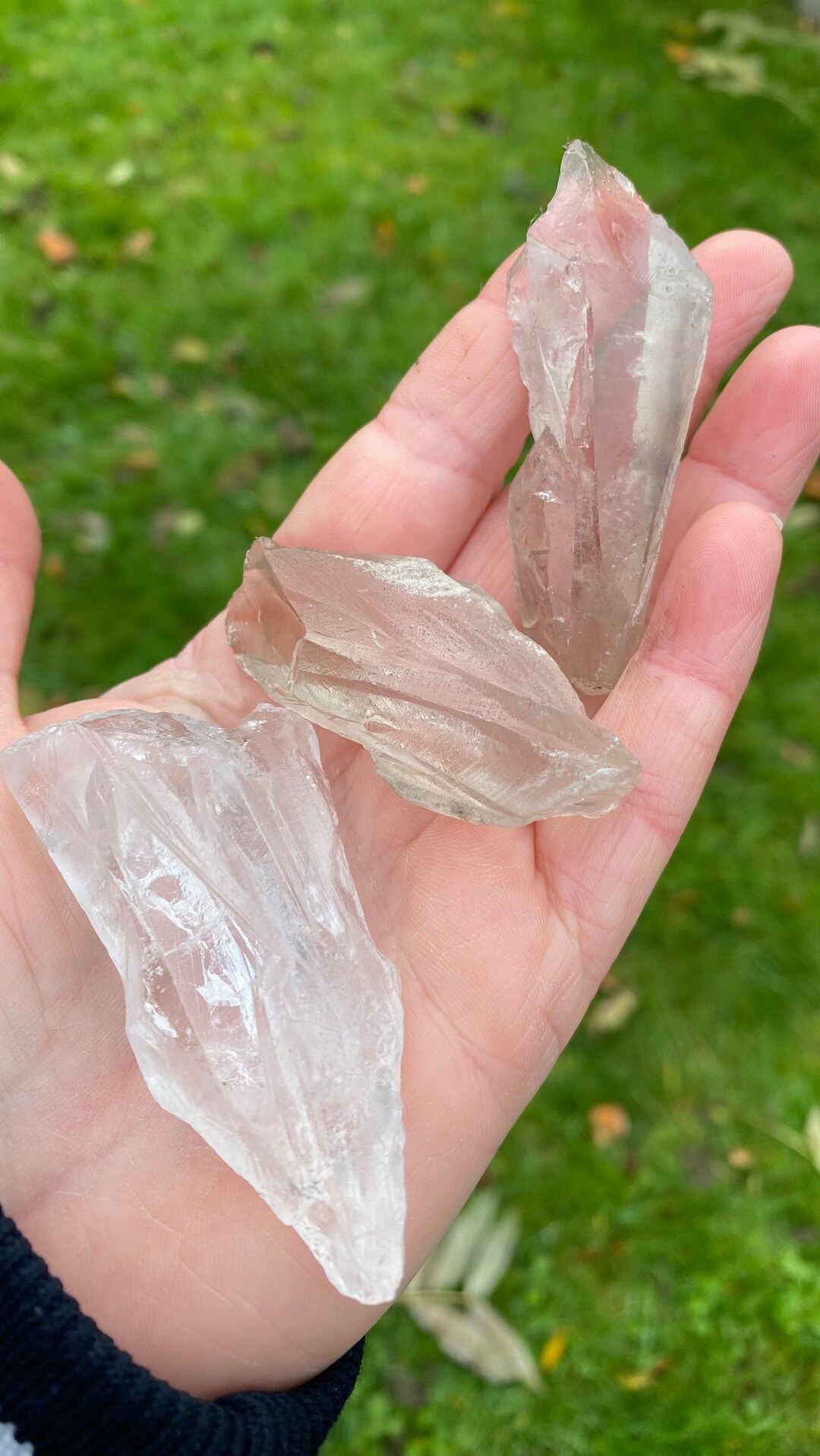 Lemurian Quartz Roots Known as the Root of Lemuria - Etsy