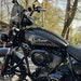 Custom Indian Motorcycle Gas Tank Decals 2PC Set New Handcrafted - Etsy