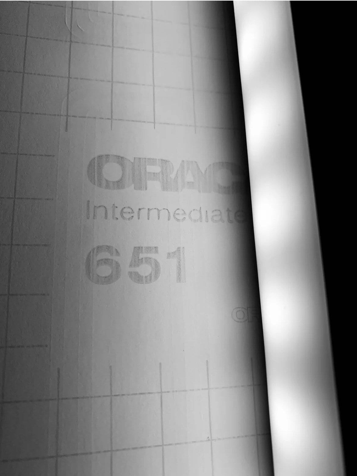 Custom Roush Outline Tailgate Body Decal OEM 2PC Set New RARE STOCK ...