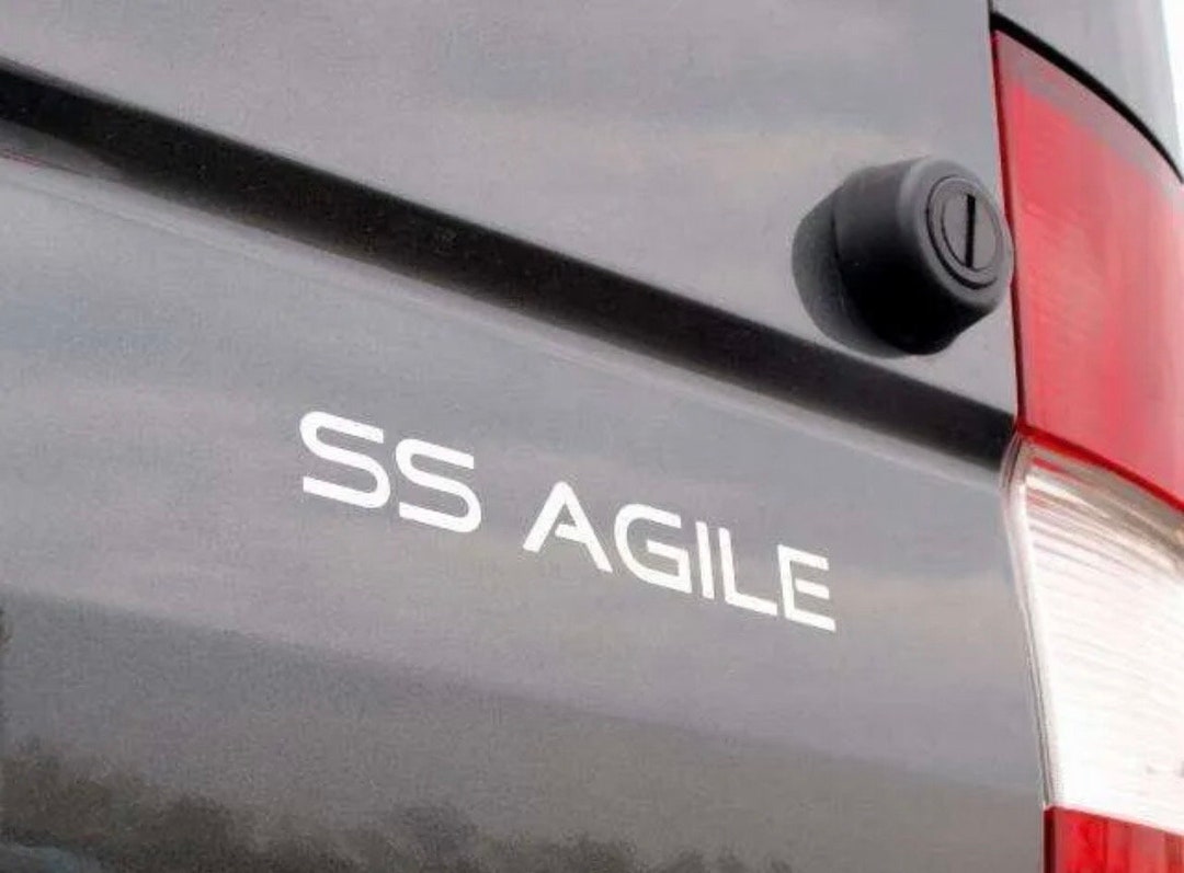 Custom Handcrafted Roadtrek SS Agile RV Decals (set of 2) – New Oracle ...