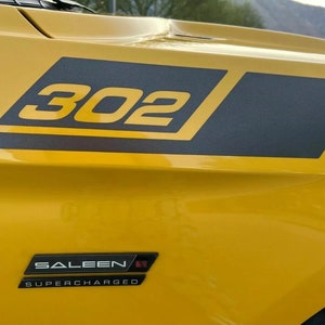 Custom Handcrafted Saleen 302 Decals Fender Hood Trim & Windshield New ...