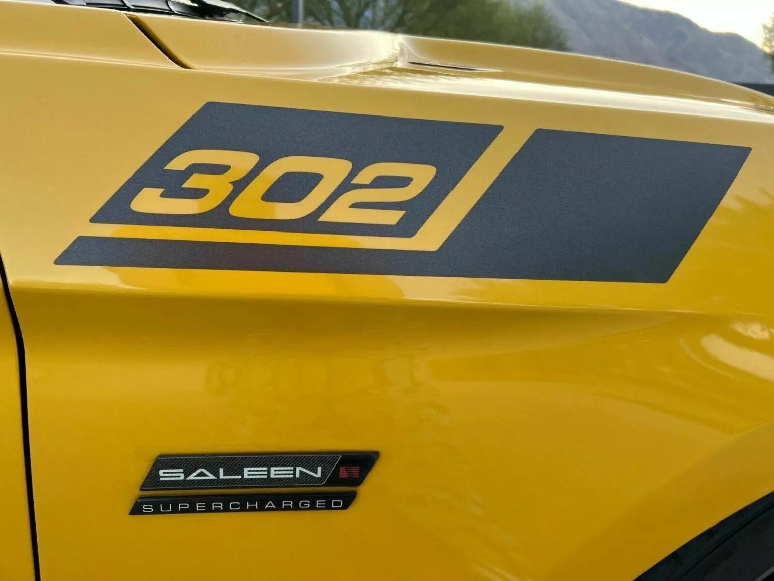 Custom Handcrafted Saleen 302 Decals Fender Hood Trim & Windshield New ...
