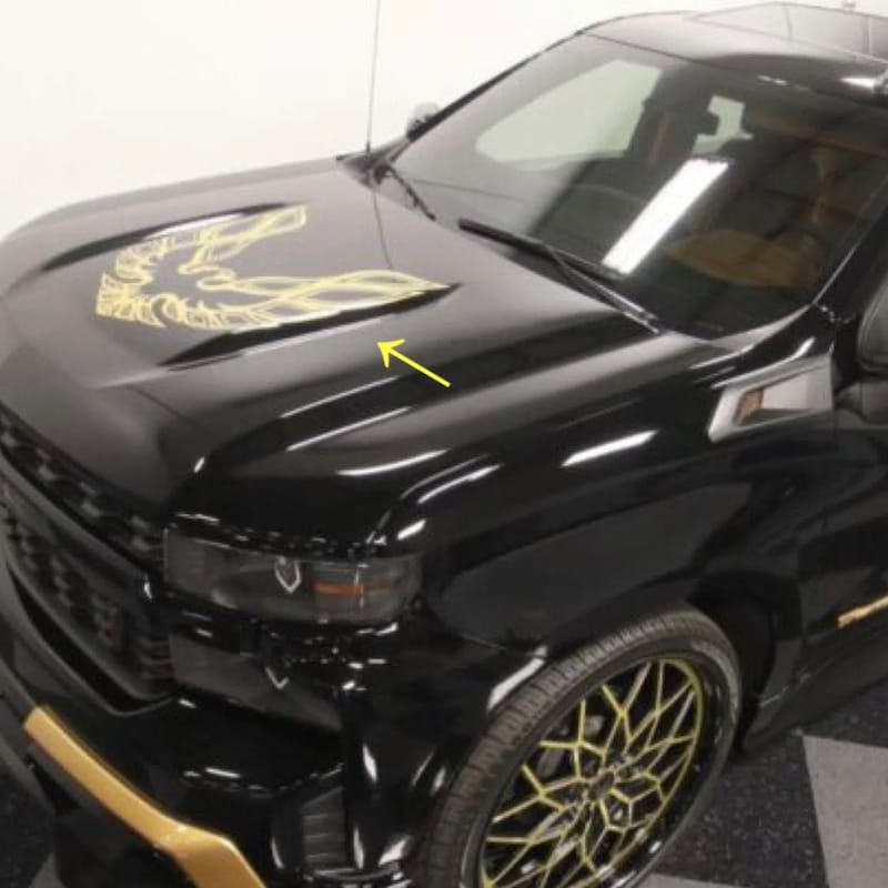 Gold Firebird Hood Decal - Etsy