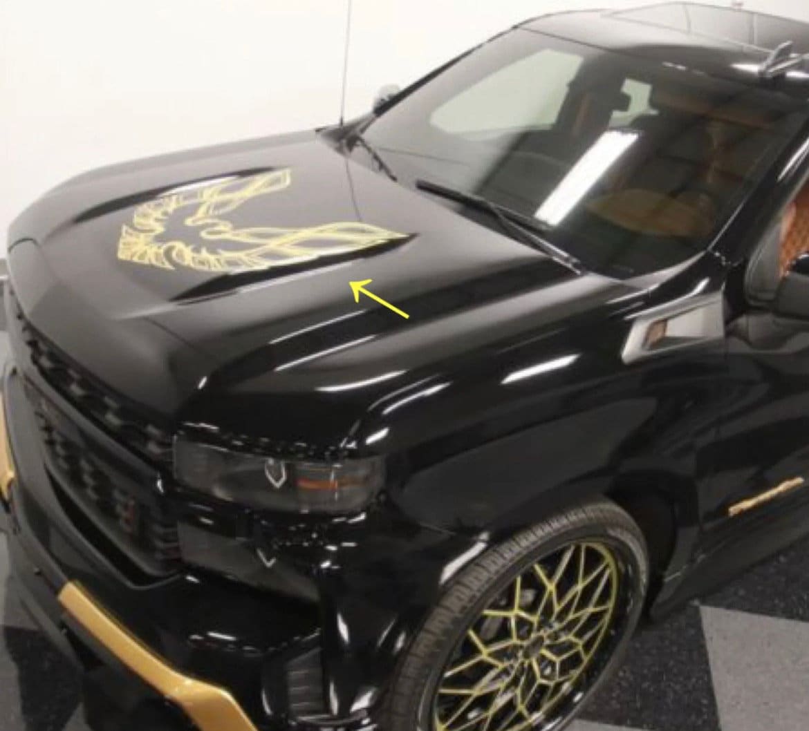 Custom Trans Am Truck Firebird Hood Decal Sticker New 1PC Fits Pontiac ...