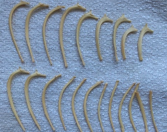 Rib Bone - Etsy