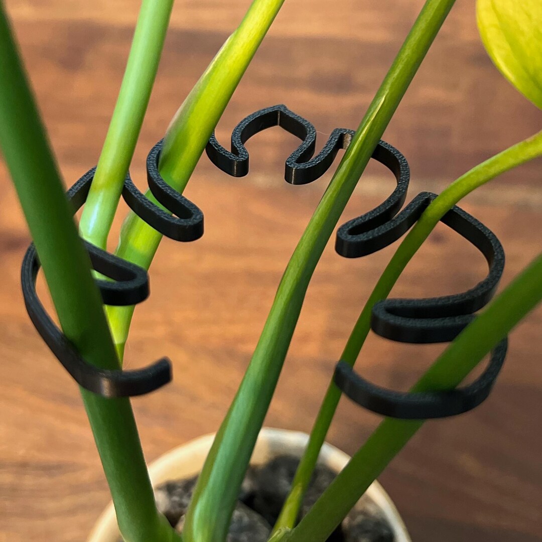 Climbing Plant Stem Support Holders Monstera Leaf, Adjustable Plant ...
