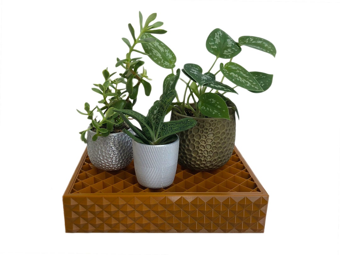 Humidity Tray for Plants, Plant Humidity Tray, Humidity Tray for Pots ...