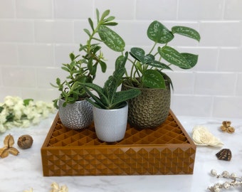 Plant Humidity Tray - Etsy