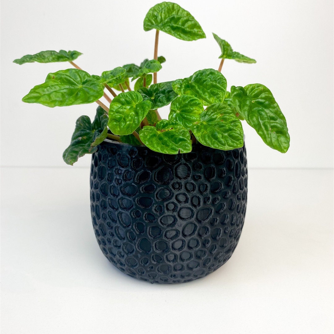 Solid Mesh Pot Plant Pot Planter Modern Stylish Pot Indoor - Etsy