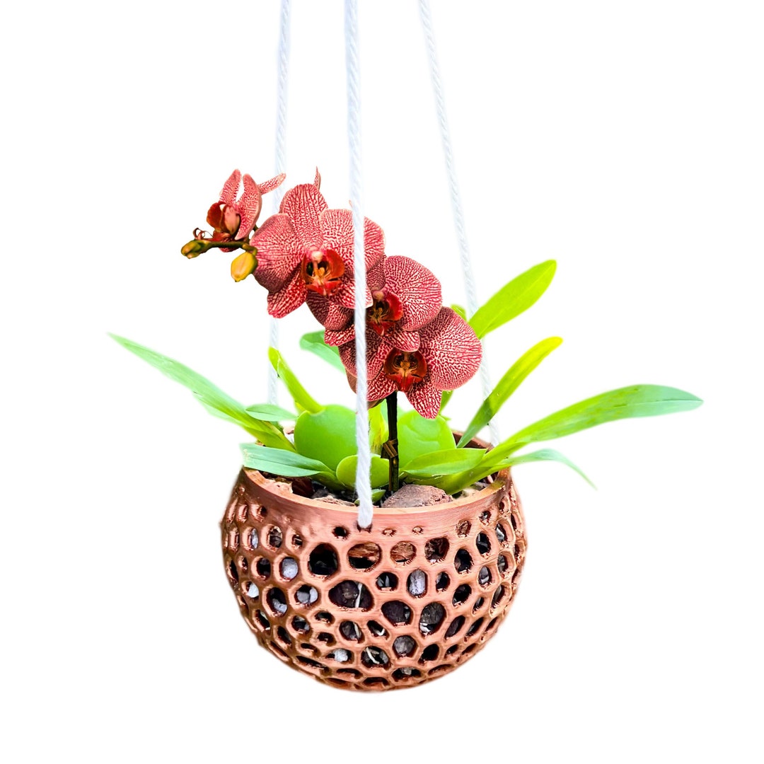Orchid Pot Kokedama With Drainage Holes, Stylish Orchid Planter, Indoor ...