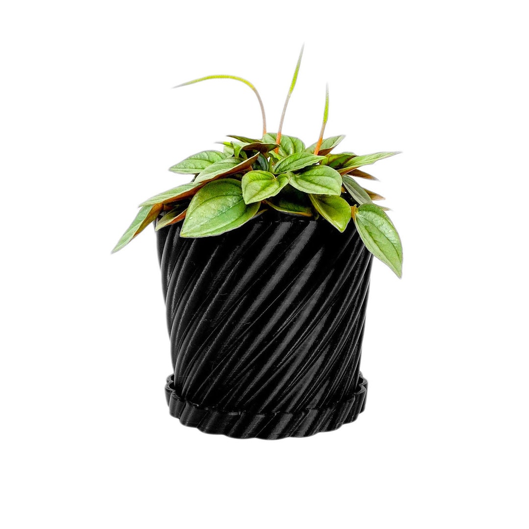 Wave Twist Plant Pot Water Basin, Pot With Drainage Basin, Indoor Plant ...