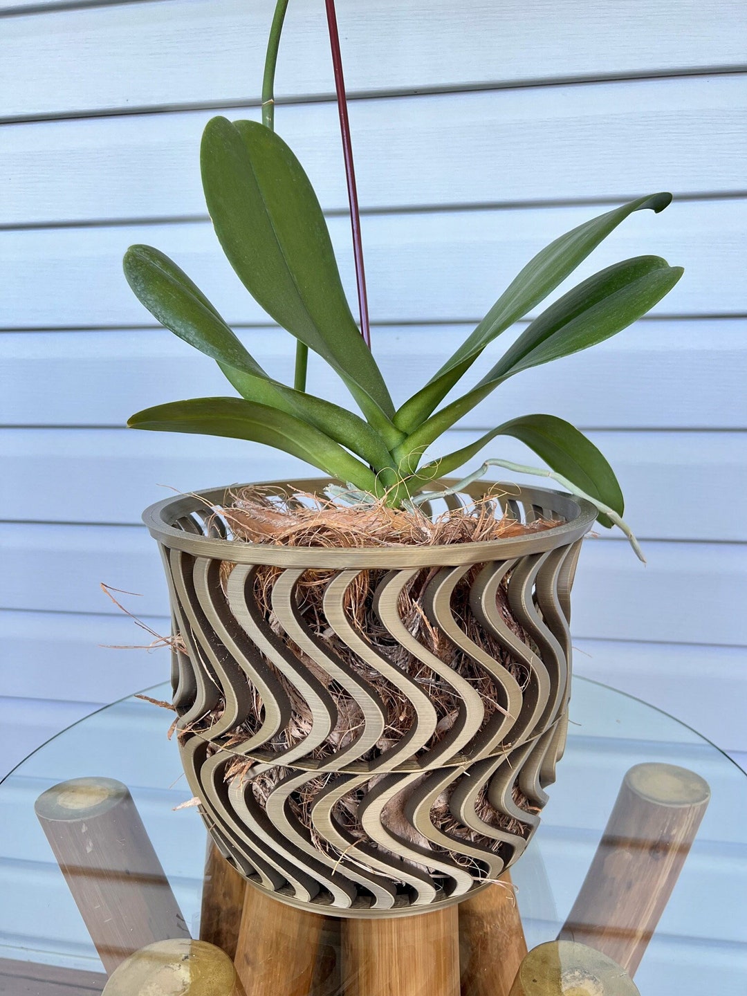 Wide Groovy Orchid Pot Planter With Drainage Holes Modern Stylish ...