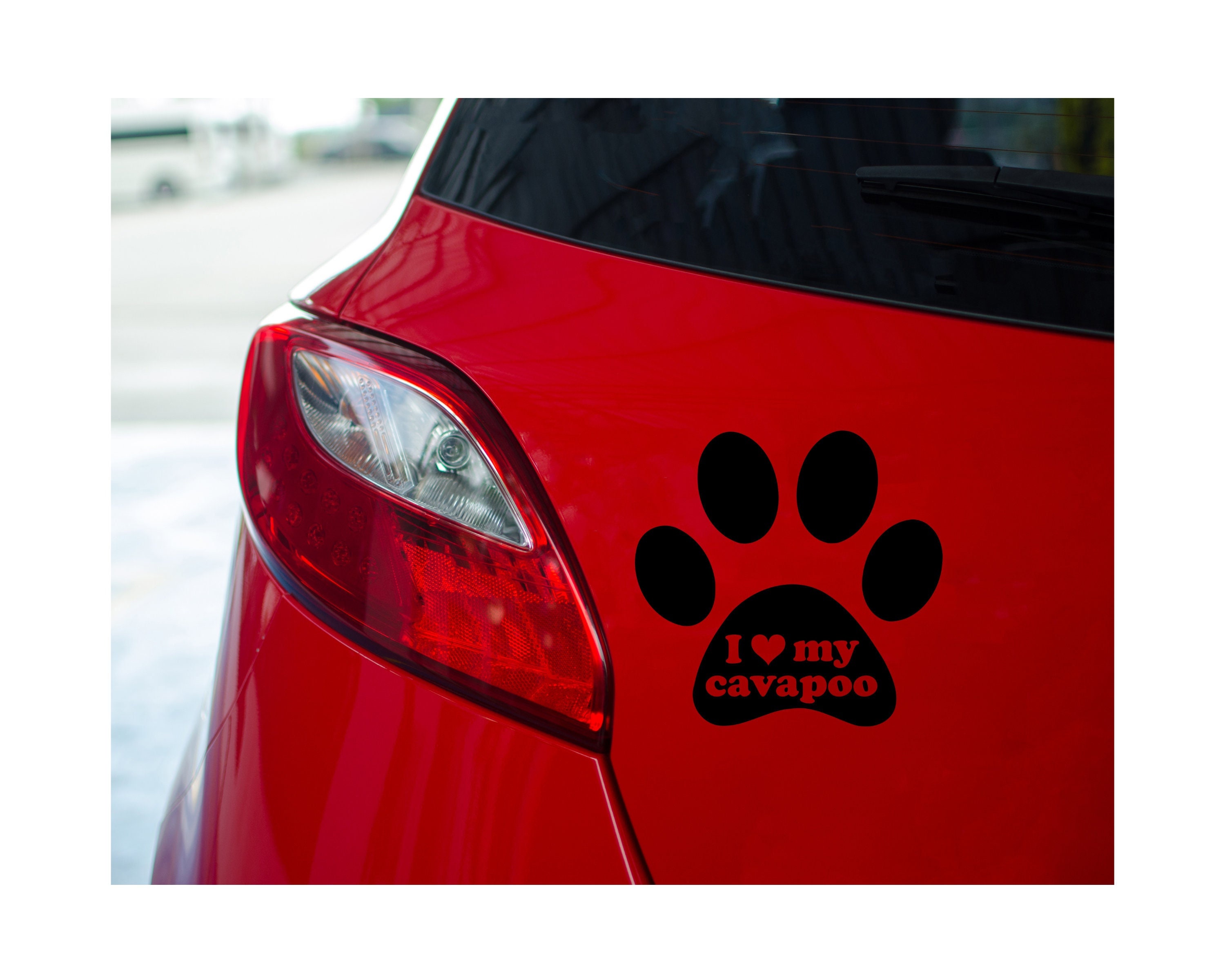 Hacer Colas De Cavapoos