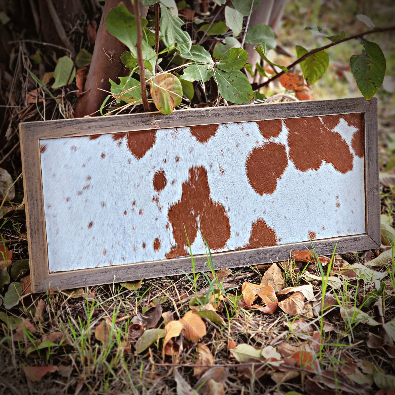 Cowhide Sign Cow Hide Branding Ceremony Ranch Sign Cattle Brand Family ...