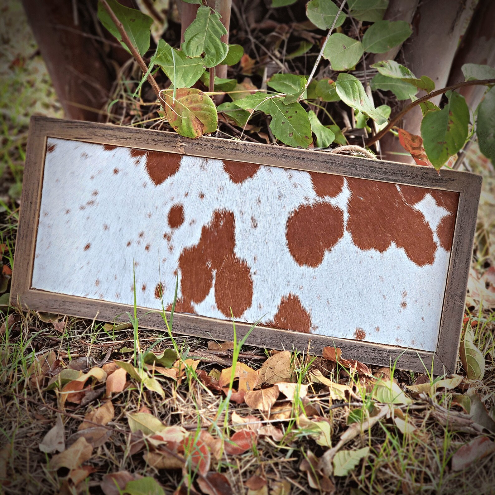 Cowhide Sign Cow Hide Branding Ceremony Ranch Sign Cattle Brand Family ...