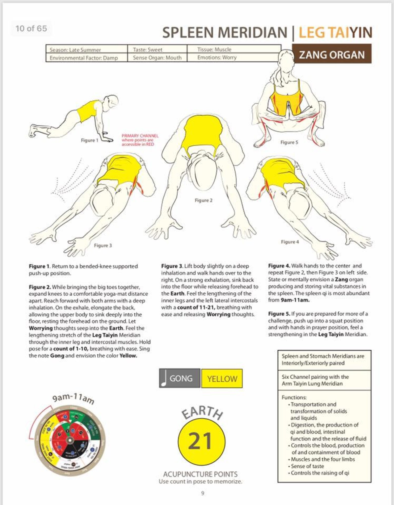 PDF FILE: Interactive Meridian Yoga Poses to Assist in the Learning of ...
