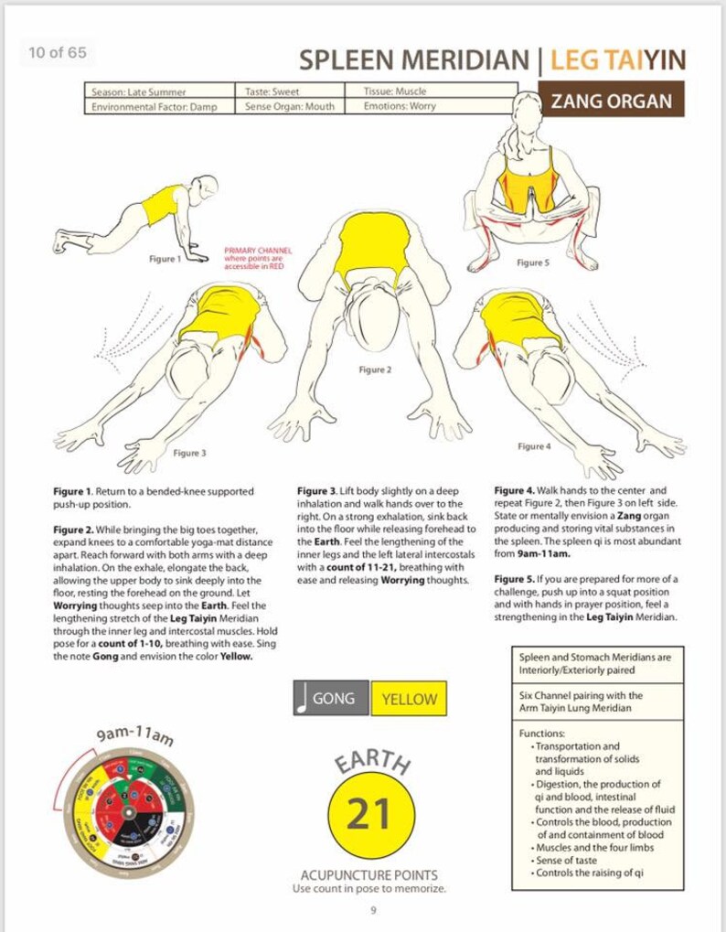 PDF FILE: Interactive Meridian Yoga Poses to Assist in the Learning of ...