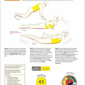 PDF FILE: Interactive Meridian Yoga Poses to Assist in the Learning of ...