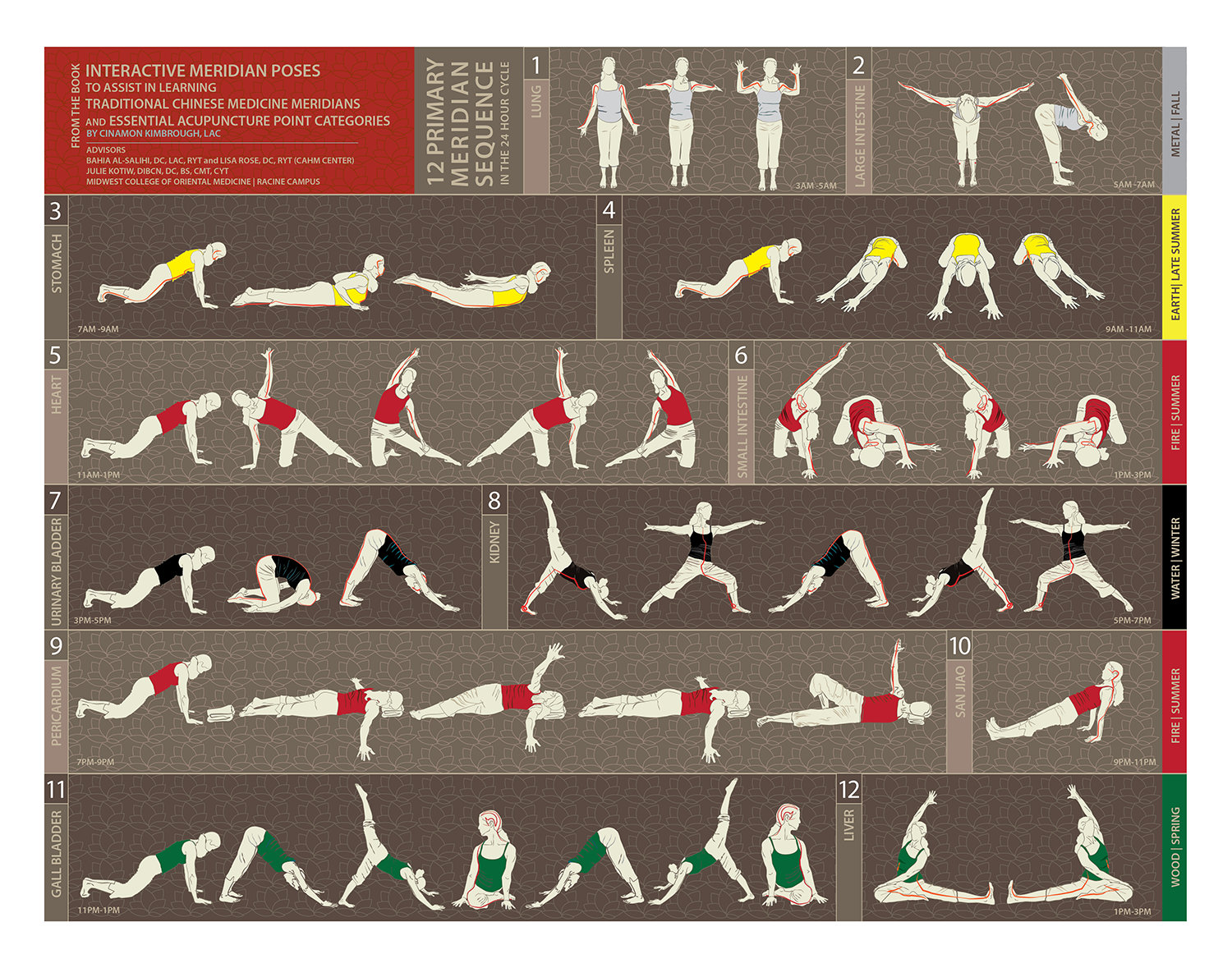 Interactive Meridian Yoga Poses for the 12 Primary Meridian Poses ...