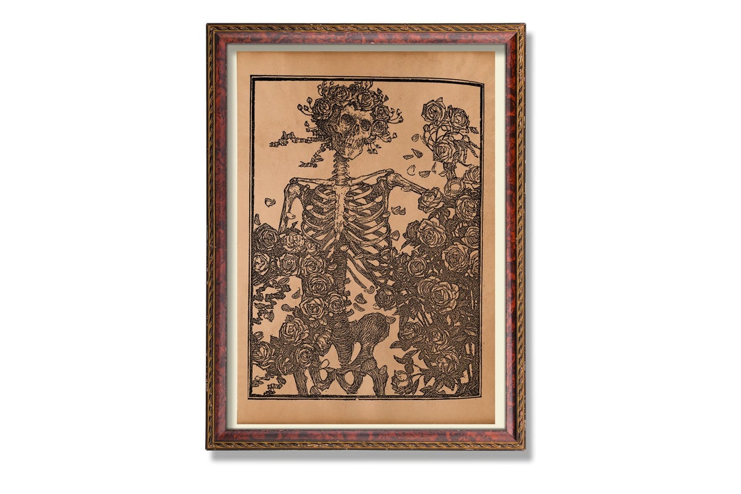 Skeleton Print Anatomy Print Medical Prints Medical Student - Etsy