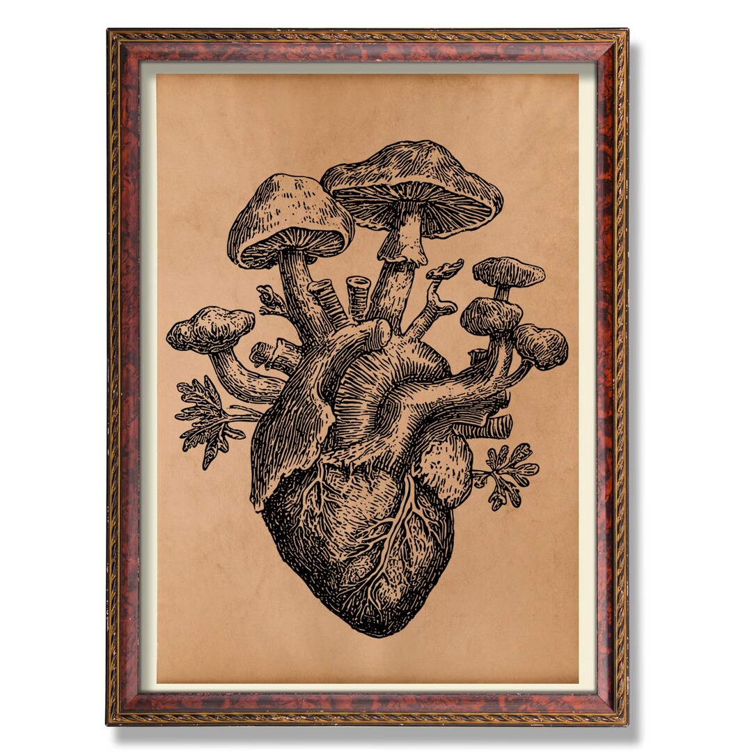 Vintage Human Heart & Mushrooms Illustration – Antique Anatomy ...