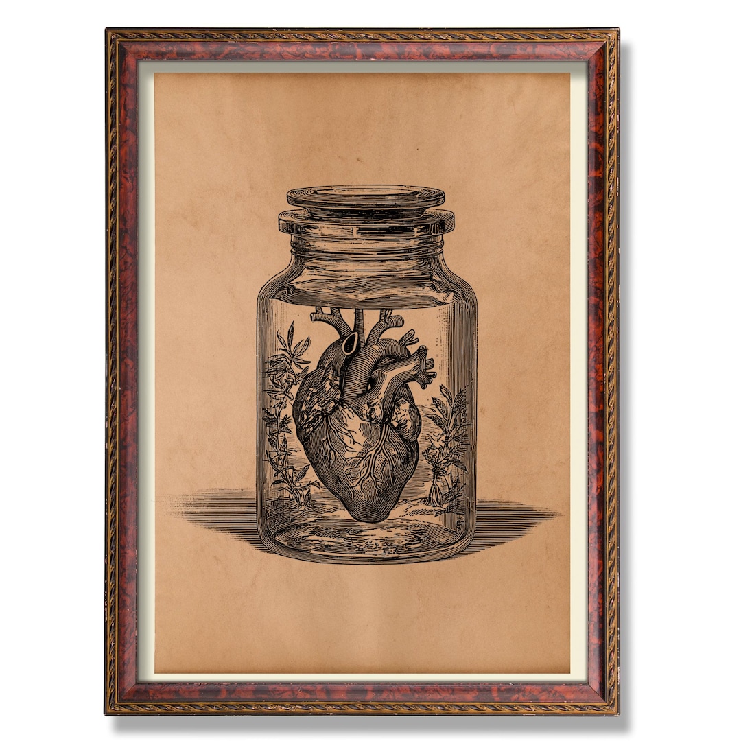 Heart in a Jar Vintage Anatomy Poster – Antique Medical Illustration ...