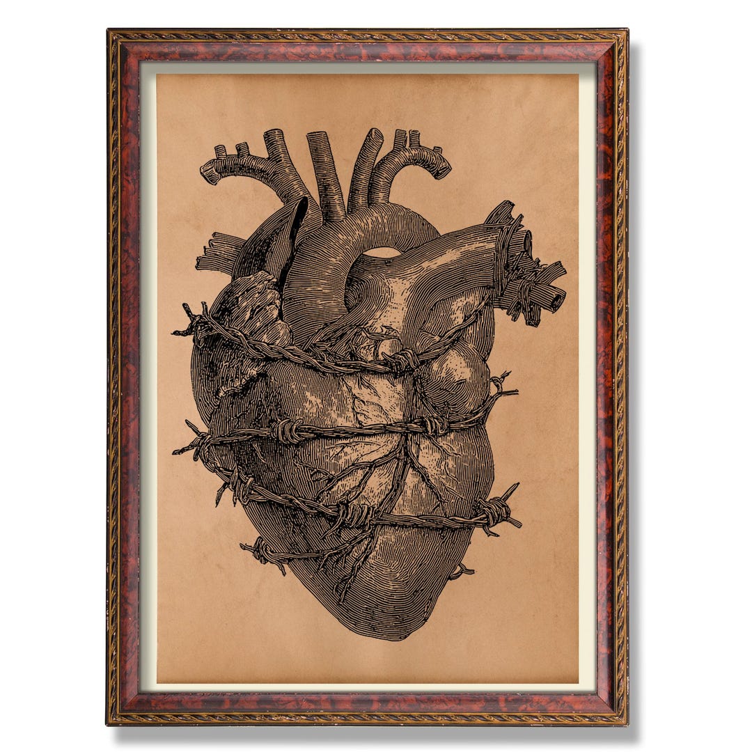 Anatomical Heart in Barbed Wire – Vintage Medical Illustration Poster ...