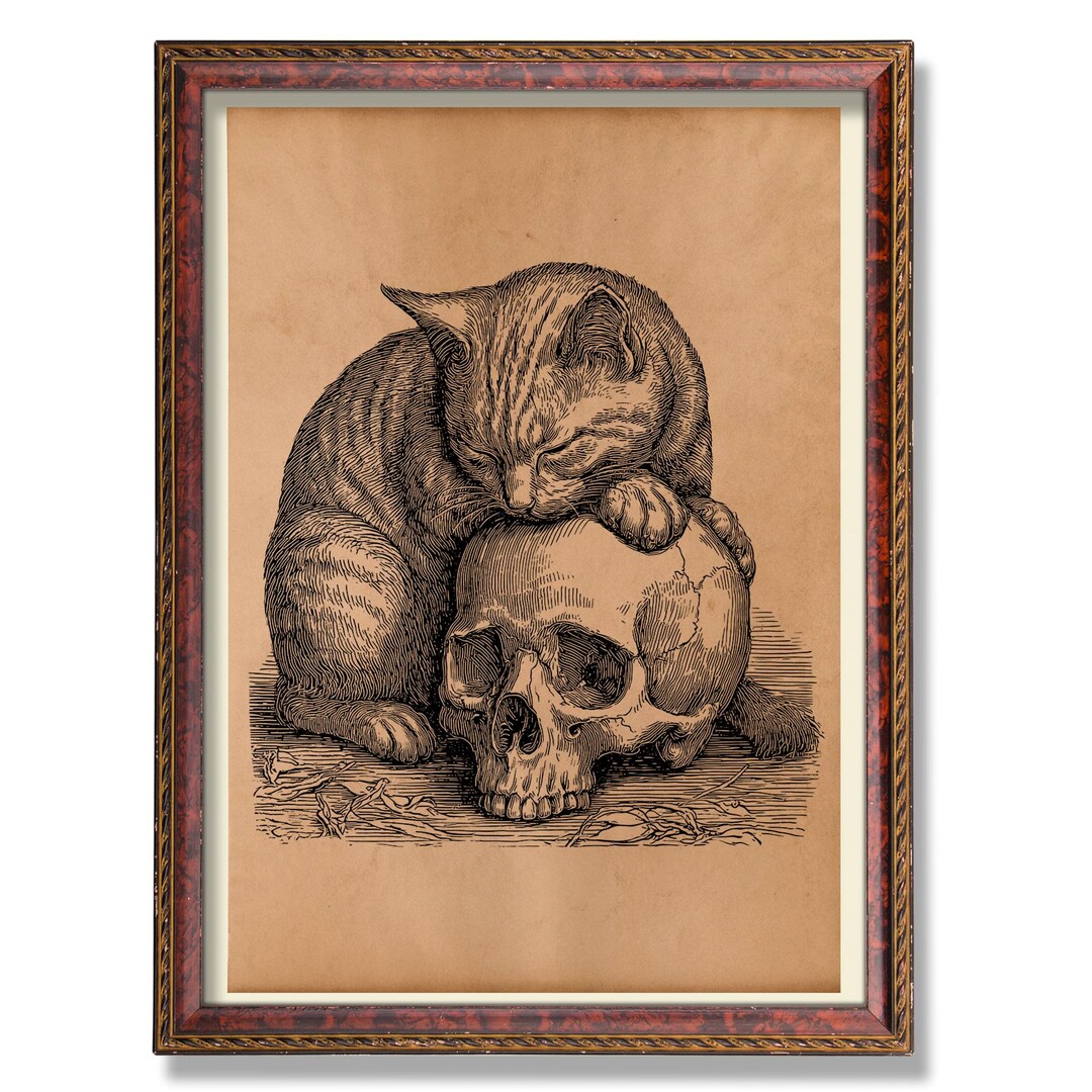 Vintage Cat Hugging Human Skull – Rustic Anatomical Illustration Art ...
