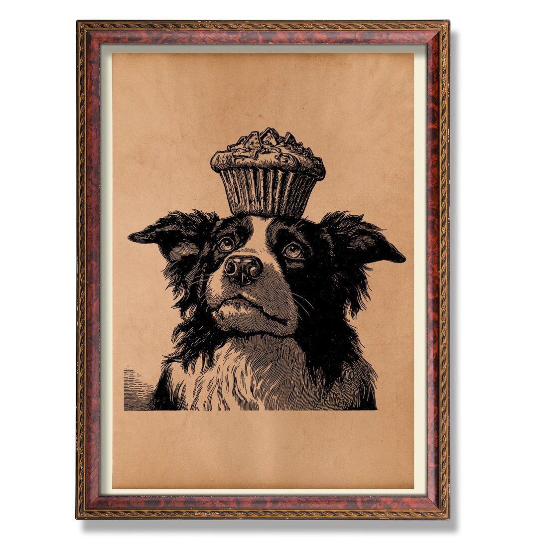 Border Collie Muffin Art Print – Funny Dog Kitchen Wall Art, Vintage ...