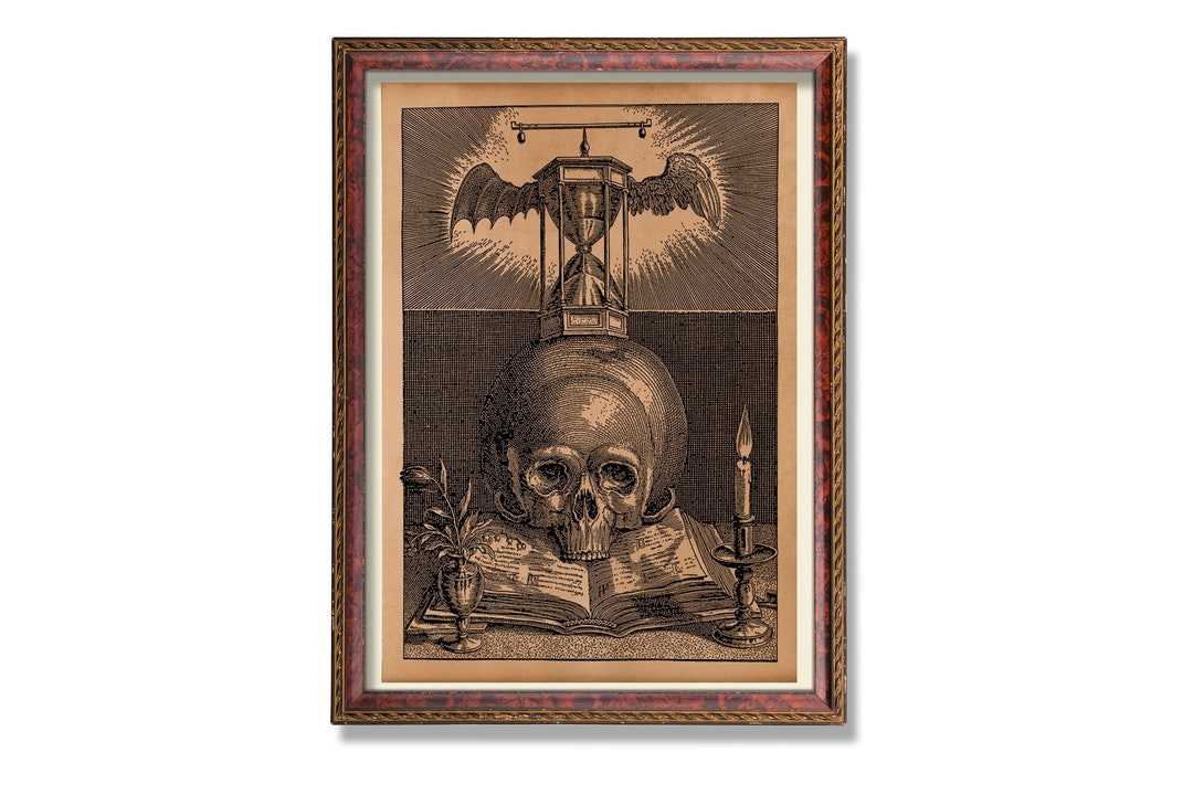 Human Skull Print Vintage Anatomy Poster Medical Student Gift - Etsy