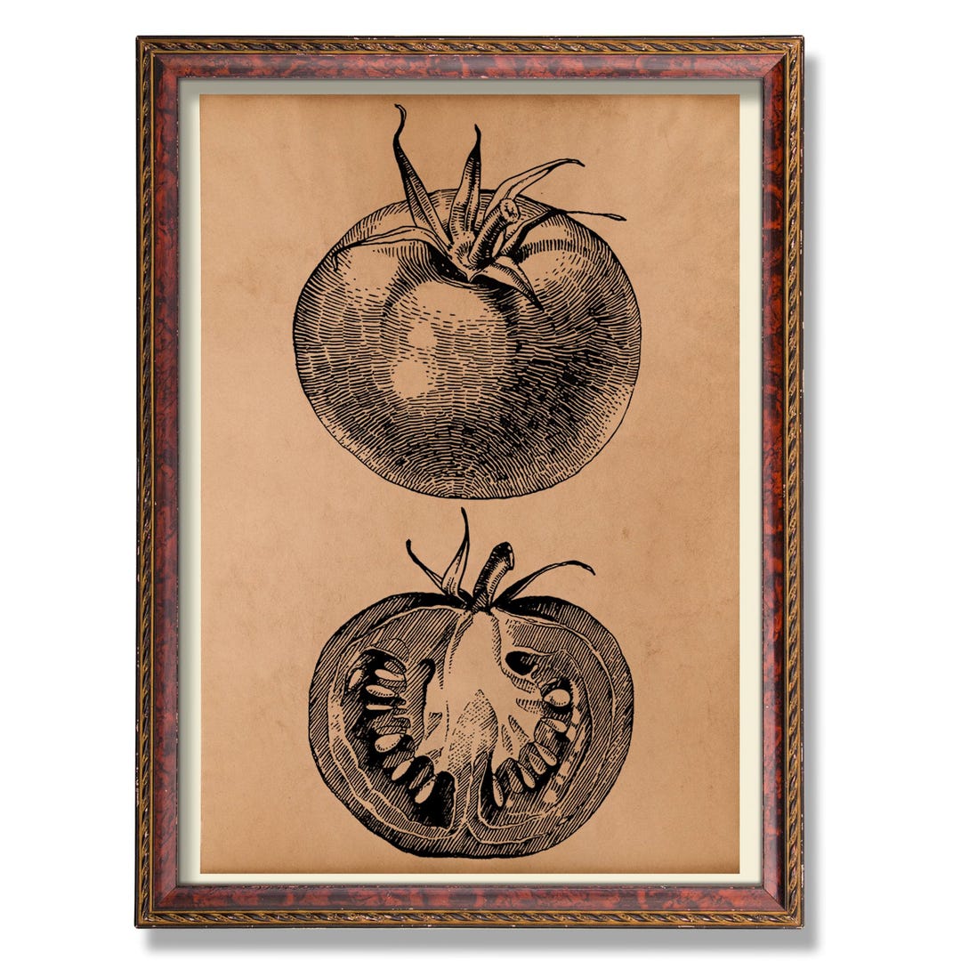 Rustic Tomato Botanical Art Vintage Garden Vegetable Illustration ...