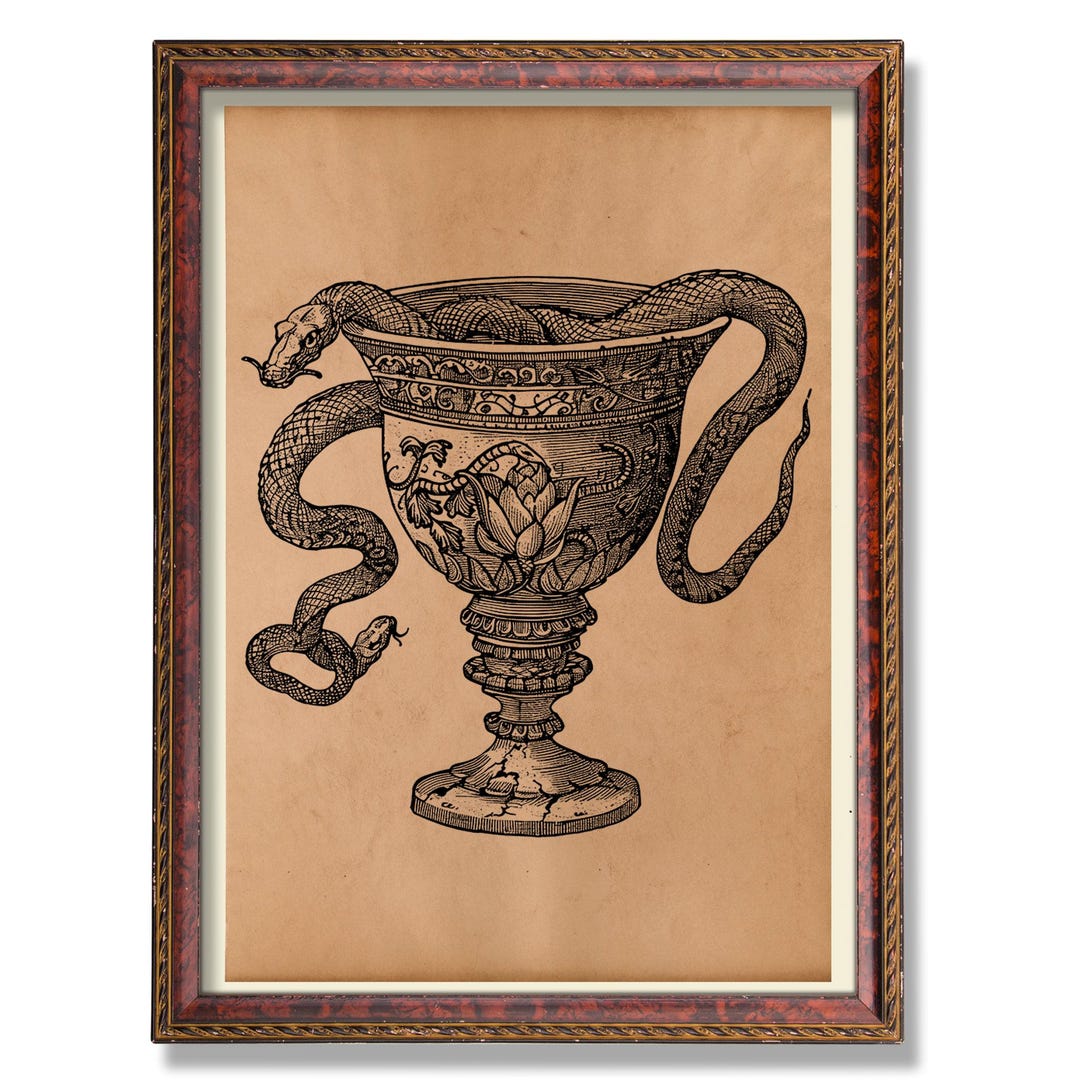 Chalice of Snakes Print – Magic Ritual Art, Occult Alchemical Poster ...