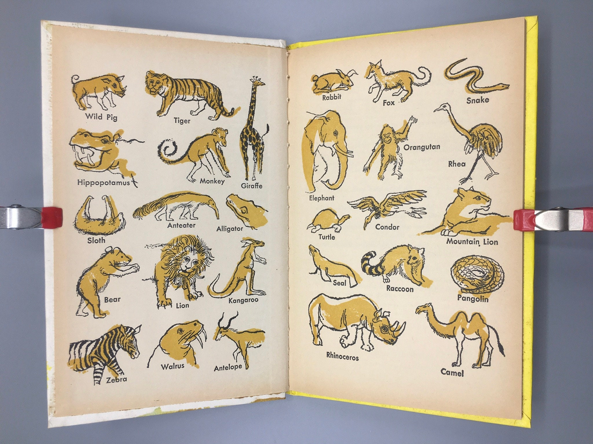 Easy Reader Wonder Books Miss Pollys Animal School and How - Etsy