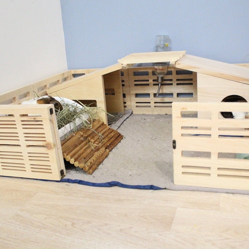 Guinea Pig Ramp - Etsy