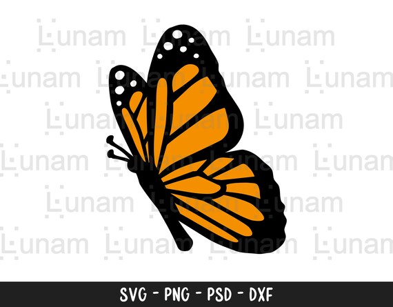 Butterfly SVG Butterfly SVG File Layered Butterfly SVG | Etsy