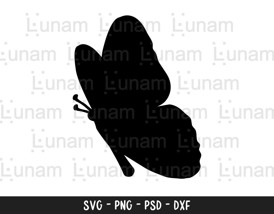 Butterfly SVG, Butterfly SVG File, Layered Butterfly SVG, Butterfly Svg ...