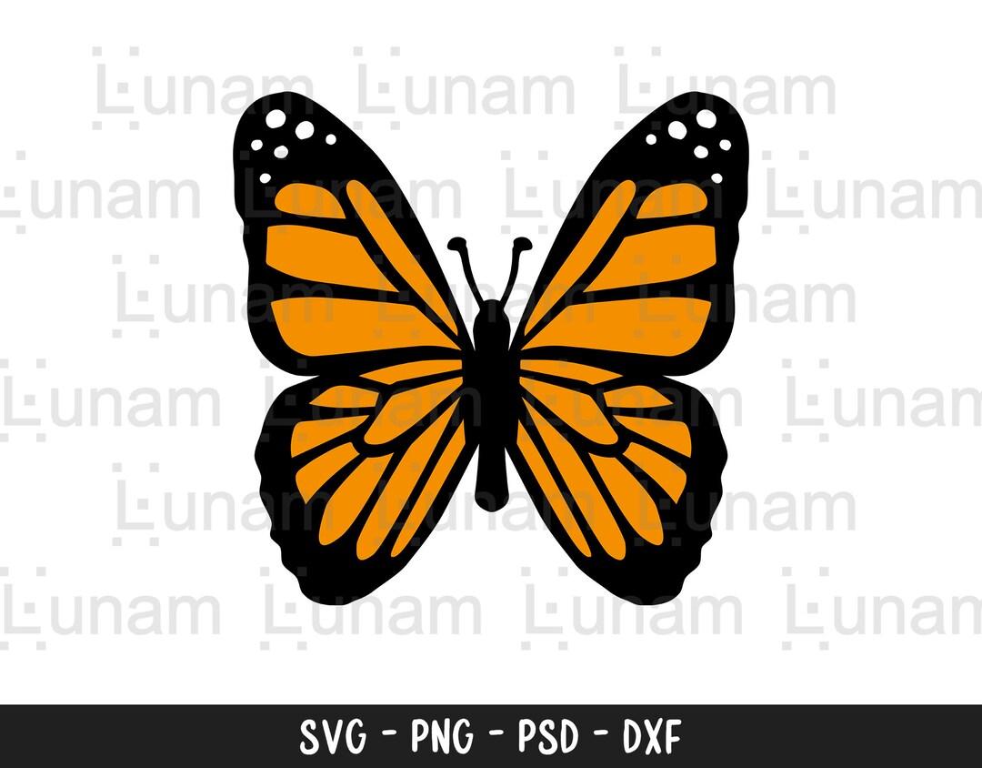 Butterfly SVG, Butterfly SVG File, Layered Butterfly SVG, Butterfly Svg ...