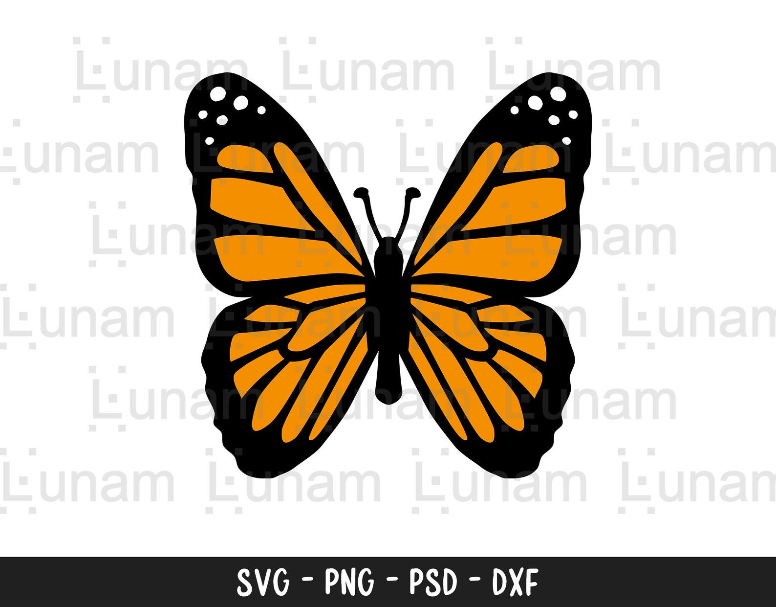 Butterfly SVG Butterfly SVG File Layered Butterfly SVG - Etsy