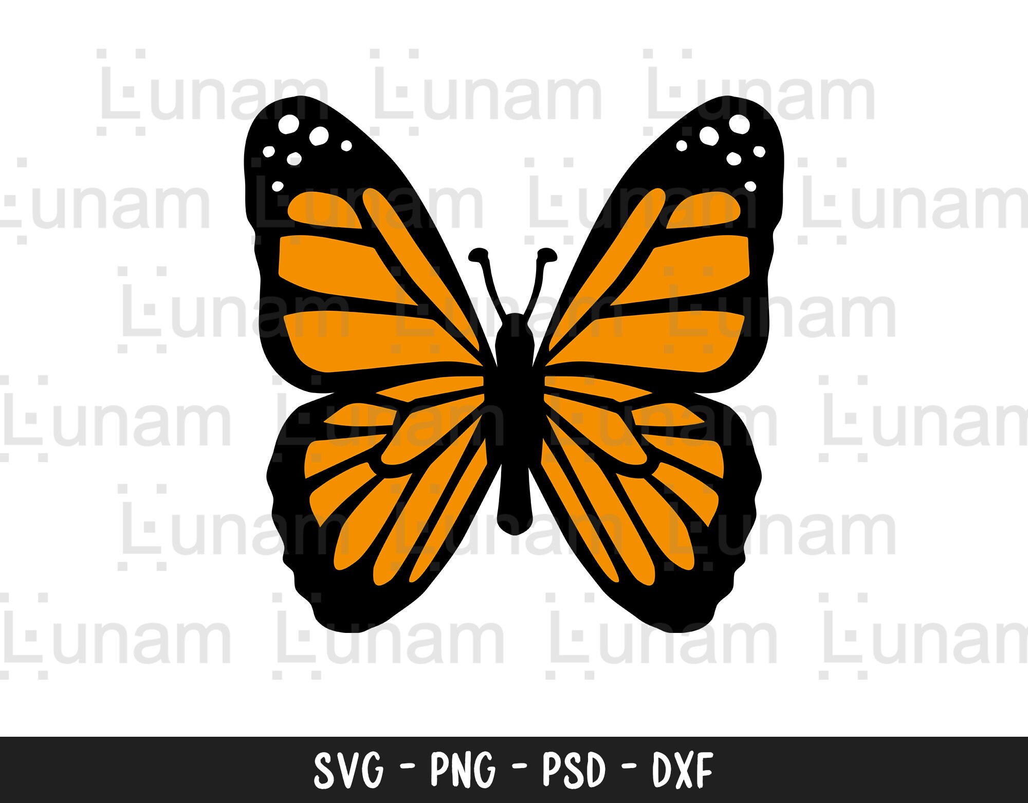 Butterfly SVG, Butterfly SVG File, Layered Butterfly SVG, Butterfly Svg ...