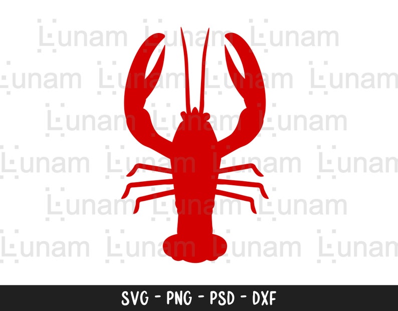 Crawfish Svg Crayfish Svg Crawfish Boil Svg Mardi Gras - Etsy