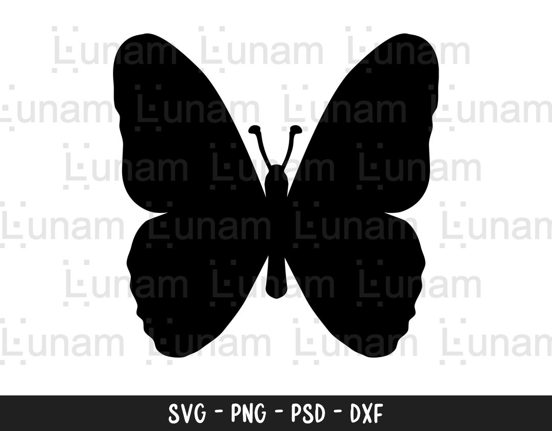 Butterfly SVG, Butterfly SVG File, Layered Butterfly SVG, Butterfly Svg ...
