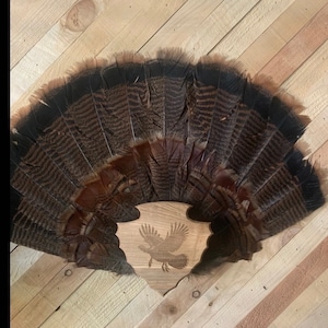 Turkey Tail Plaque Arrowhead Engraved - Etsy