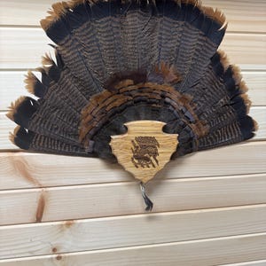 Turkey Tail Plaque Arrowhead Engraved - Etsy