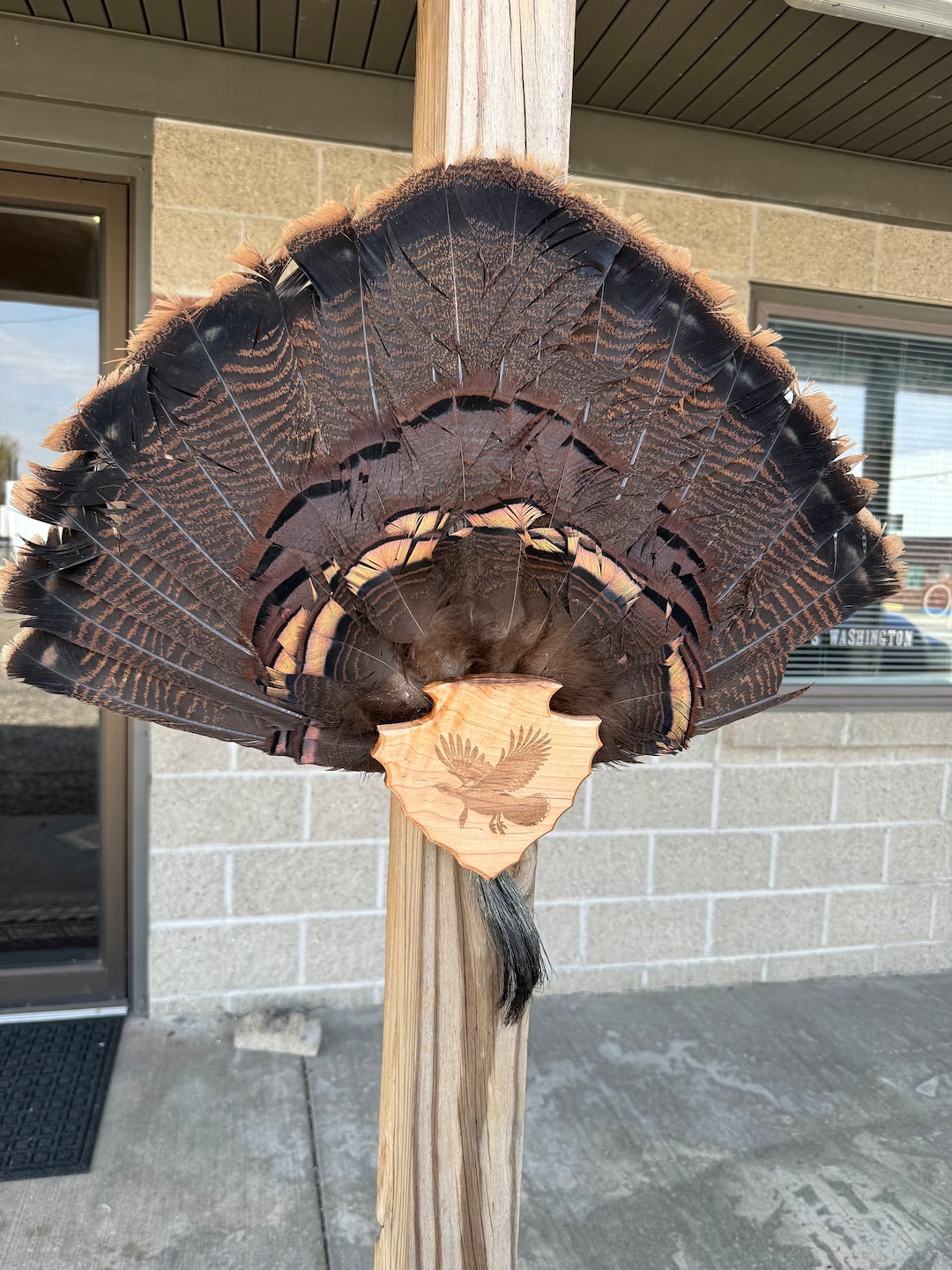 Turkey Tail Plaque Arrowhead Engraved - Etsy
