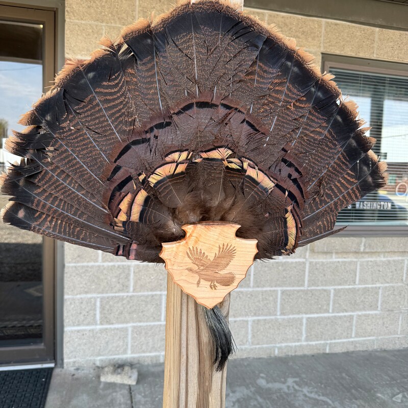 Turkey Fan Mount - Etsy