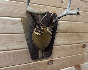 European Skull Mounting Kit, Double Skull Mount for Deer, Two Photos ...