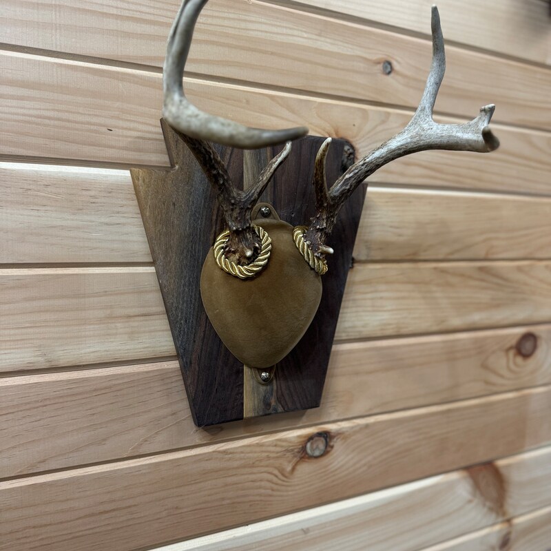 Antler Plaque - Etsy
