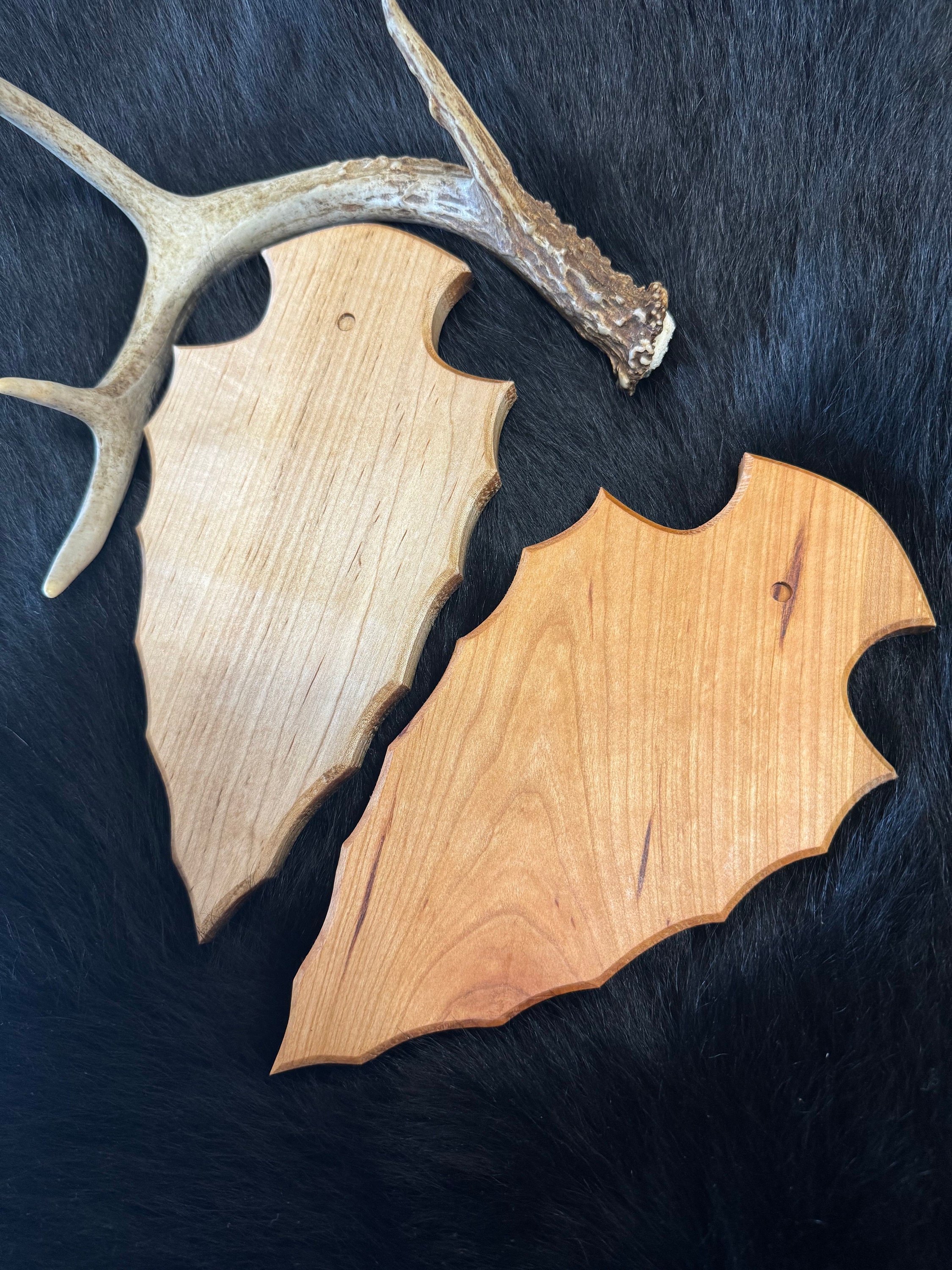 Coyote European Mount Pedestal - Plaque - Coyote - Skull Mount ...